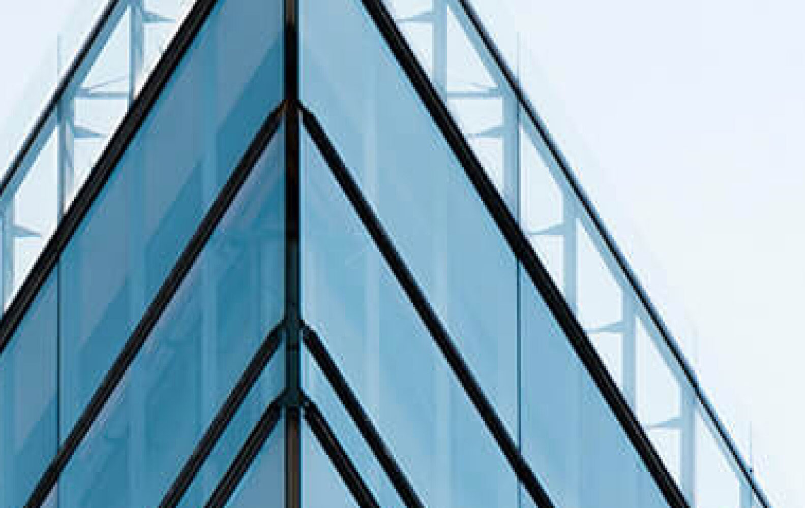 Green Project – Plus Professional